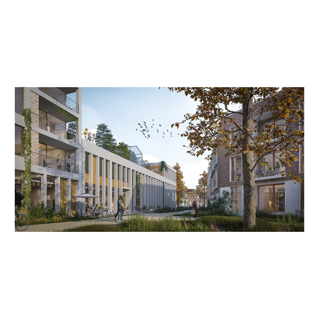 Projectonwikkelaar wil site Damman-Croes tijdelijke invulling geven ...